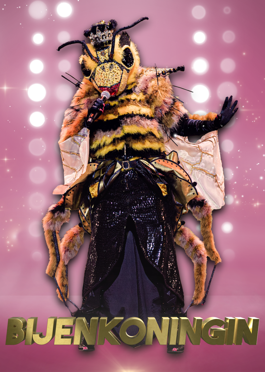 De 15 karakters van The Masked Singer 2022