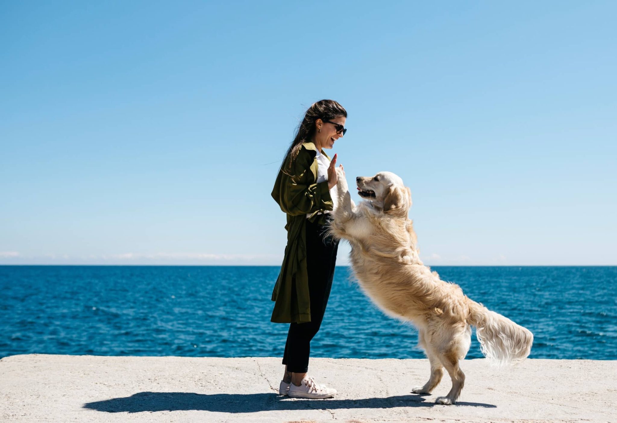 Waarom honden graag tegen mensen opspringen: enthousiasme of dominantie ...