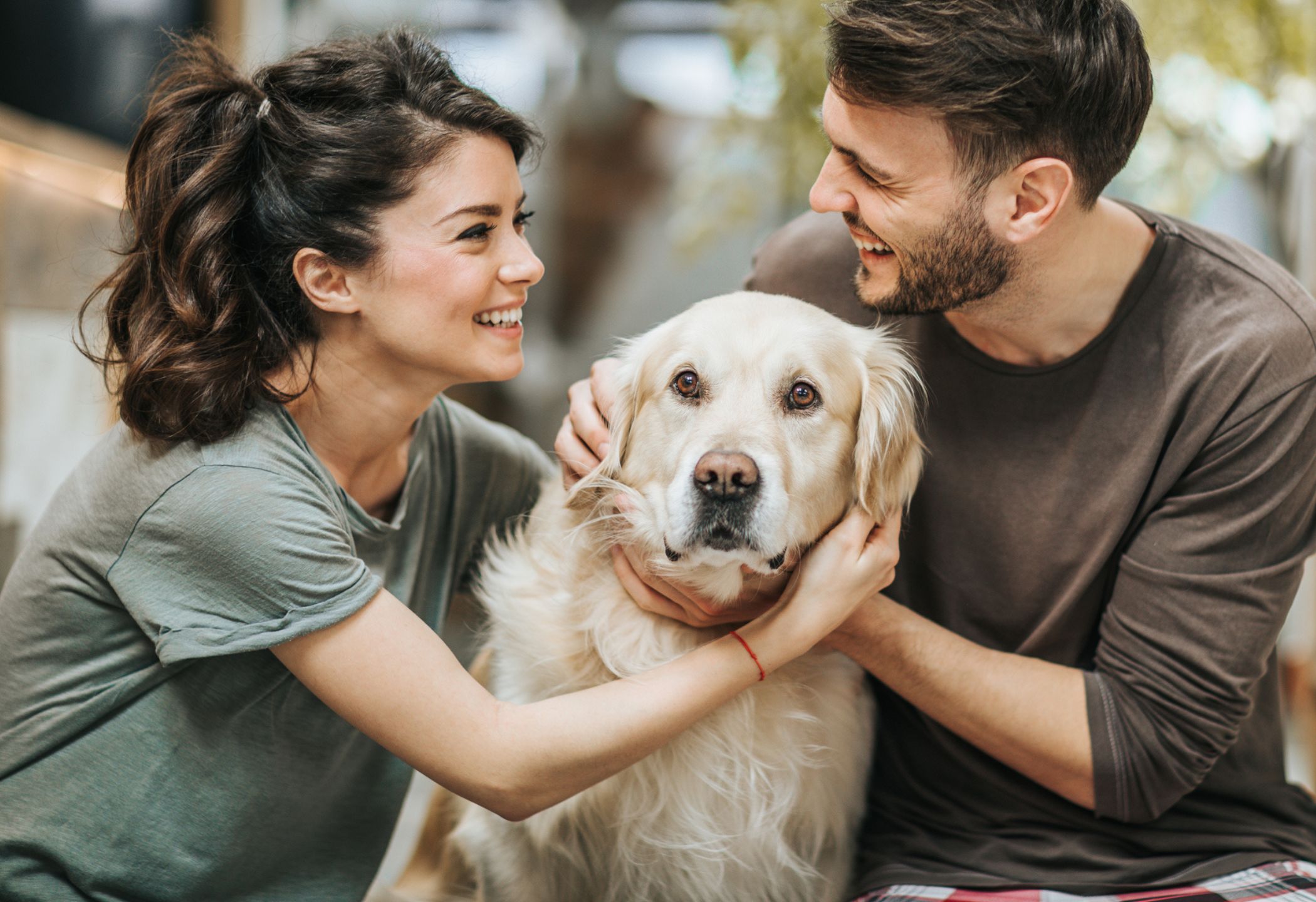 Jaloerse hond? Met deze 5 tips wordt hij weer relaxed